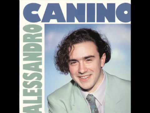 Alessandro Canino - Brutta -testo+video+significato | Solo belle canzoni