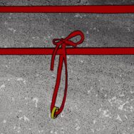 Anche fragile - Elisa - testo+significato | Solo belle canzoni