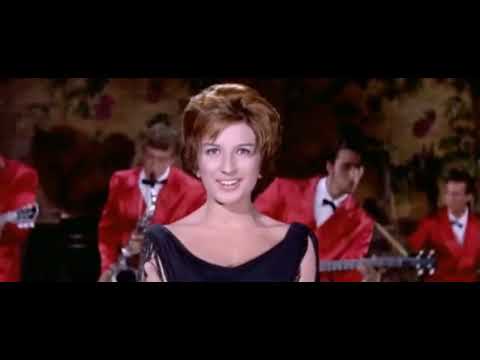 Una zebra a pois - Mina - testo+significato | Solo belle canzoni